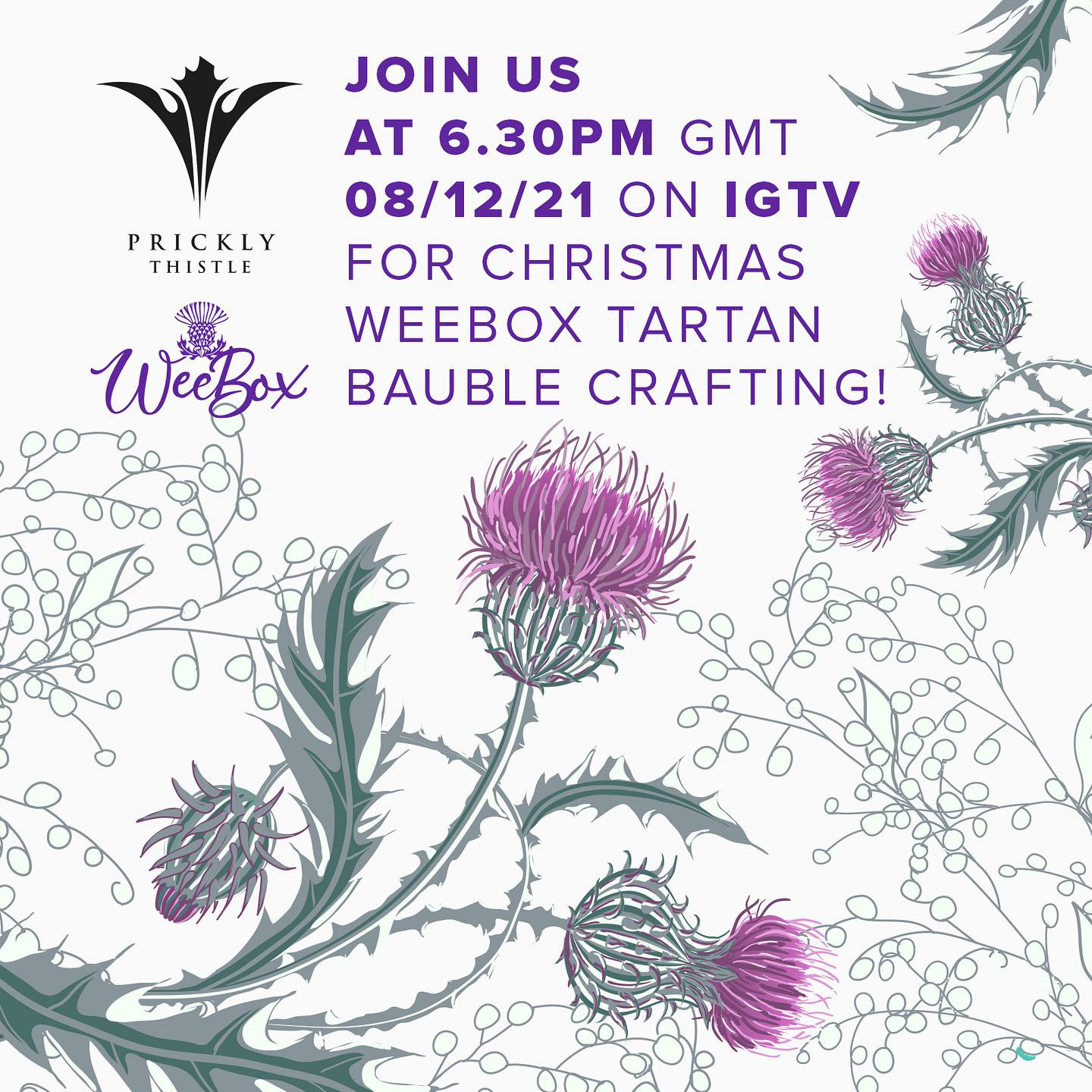 Prickly Thistle Festive Tartan Crafting - WeeBox