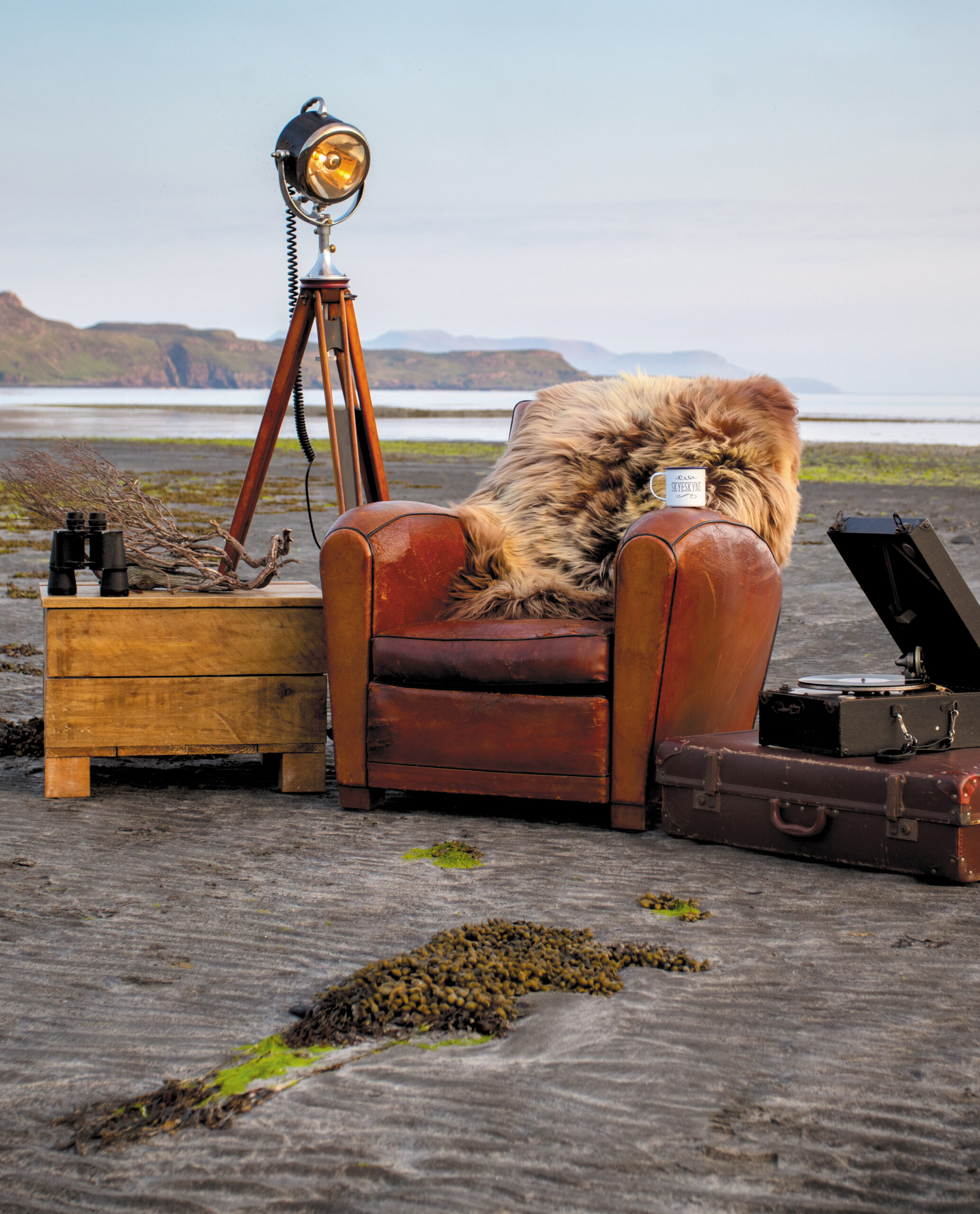 Products that Stand Out from the Herd - Skyeskyns - WeeBox